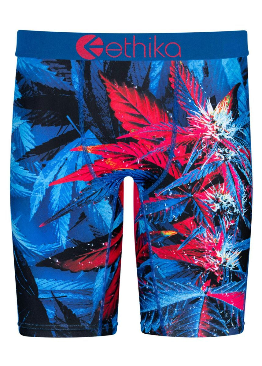 ETHIKA MEN EXOTICA UNDERWEAR – D2ICHI - Official Store for Premium ...